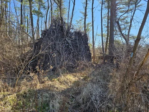 Best Forest Trails in Mogadore | AllTrails