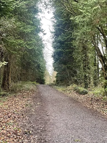 Best Hikes and Trails in Deerpark Forest | AllTrails