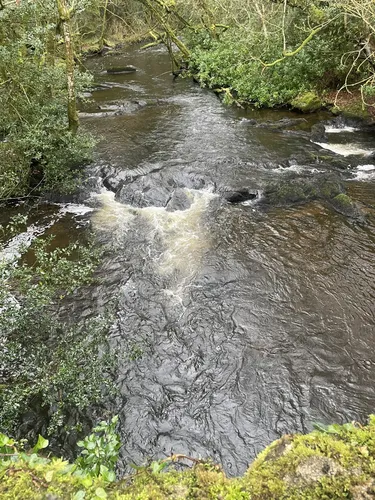 Best Hikes and Trails in Deerpark Forest | AllTrails