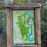 Nocatee Preserve Trail, Florida - 339 Reviews, Map | AllTrails