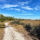 Nocatee Preserve Trail, Florida - 371 Reviews, Map | AllTrails