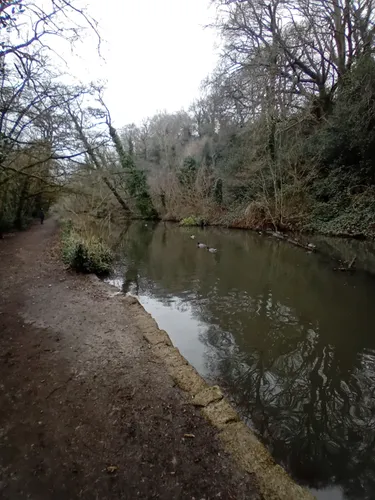 Best Hikes and Trails in Hailey Park | AllTrails