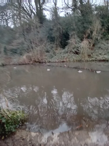 Best Hikes and Trails in Hailey Park | AllTrails