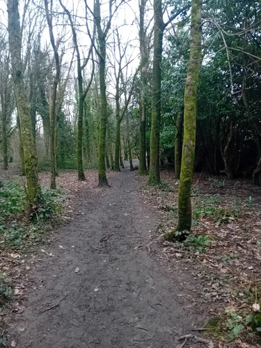 Best Hikes and Trails in Hailey Park | AllTrails