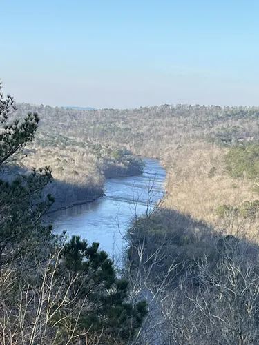 Best Hikes and Trails in Sprewell Bluff Park | AllTrails