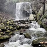 Collins Gulf Trail to Horsepound Falls and Collins River, Tennessee ...