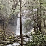 Collins Gulf Trail to Horsepound Falls and Collins River, Tennessee ...