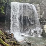 Collins Gulf Trail to Horsepound Falls and Collins River, Tennessee ...