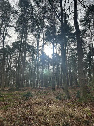 Best Hikes and Trails in Maidenhead Thicket | AllTrails