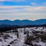 Max Patch Loop, North Carolina - 2,105 Reviews, Map | AllTrails