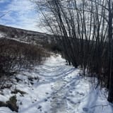 Max Patch Loop, North Carolina - 2,105 Reviews, Map | AllTrails