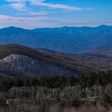 Max Patch Loop, North Carolina - 2,105 Reviews, Map | AllTrails
