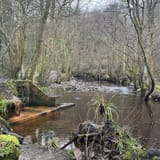 Rivelin Valley Trail, South Yorkshire, England - 268 Reviews, Map ...