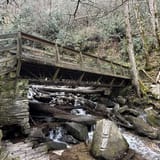 Mingo Falls Trail, North Carolina - 1,610 Reviews, Map | AllTrails