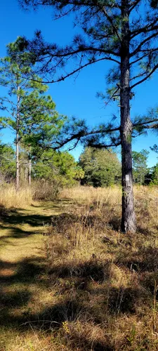 Best Hikes and Trails in Half Moon Wildlife Management Area | AllTrails