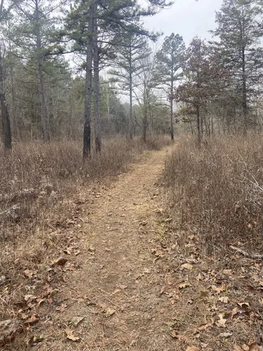 Best Hikes and Trails in Peck Ranch Conservation Area | AllTrails