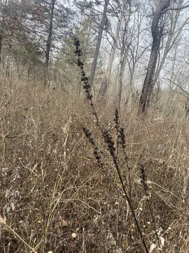 Best Hikes and Trails in Peck Ranch Conservation Area | AllTrails