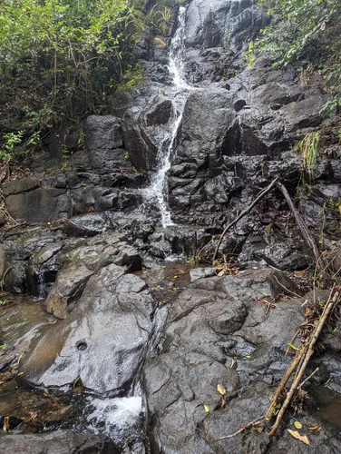 Best Hikes and Trails in Highfields Falls Bushland Reserve | AllTrails