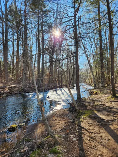 Best Hikes and Trails in Bittner Park | AllTrails