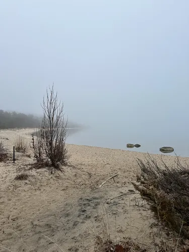 Best Hikes and Trails in Maple Bay Natural Area | AllTrails