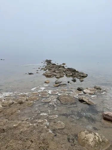 Best Hikes and Trails in Maple Bay Natural Area | AllTrails