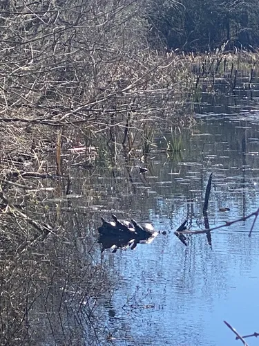 Best Hikes and Trails in Sheldon Lake State Park and Environmental ...