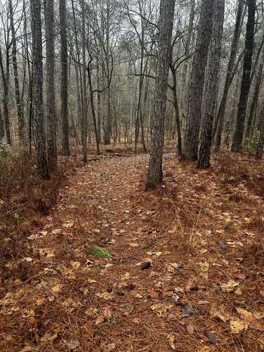 Best Hikes and Trails in Tuskegee National Forest | AllTrails