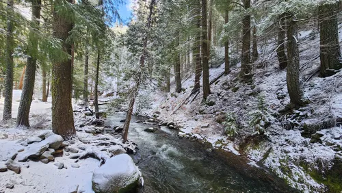 Best Wildlife Trails in Butte Meadows | AllTrails