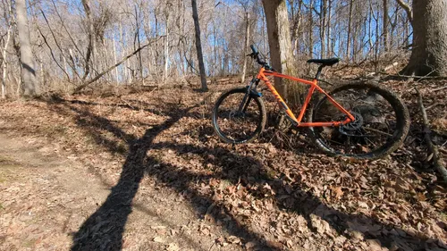 Best Hikes and Trails in Mitchell Memorial Forest | AllTrails