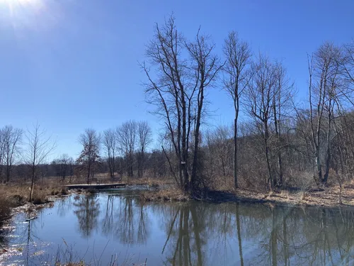 Best Hikes and Trails in Irvine Nature Center | AllTrails