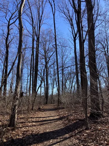 Best Hikes and Trails in Irvine Nature Center | AllTrails