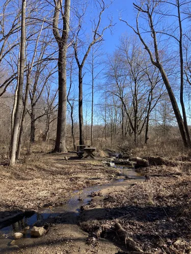 Best Hikes and Trails in Irvine Nature Center | AllTrails