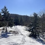 Mount Watatic and Nutting Hill via Wapack Trail, Massachusetts - 2,669 ...