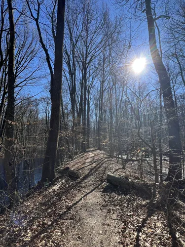 Best Hikes and Trails in Tallman Mountain State Park | AllTrails