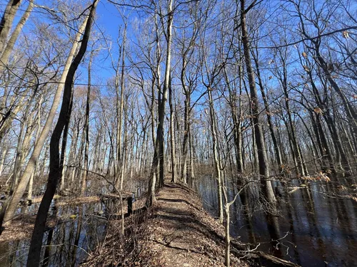 Best Hikes and Trails in Tallman Mountain State Park | AllTrails