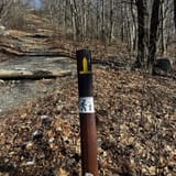 Monument Trail Loop, New Jersey - 1,793 Reviews, Map | AllTrails