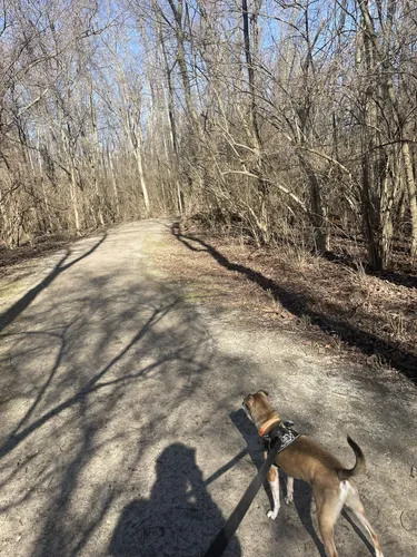 Best Hikes and Trails in Mingo Park | AllTrails