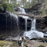Greeter Falls Loop, Tennessee - 1,071 Reviews, Map | AllTrails