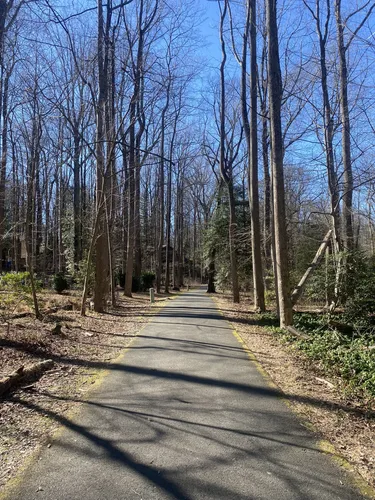 10 Best Walking Trails in Reston | AllTrails
