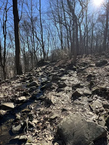 Best Hikes and Trails in Tallman Mountain State Park | AllTrails