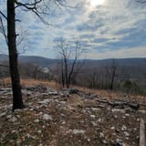 Cave Spring Loop Trail, Missouri - 373 Reviews, Map | AllTrails