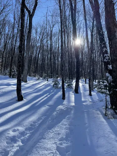 Best Walking Trails in Val-Morin | AllTrails