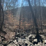 High Rocks, Pennsylvania - 2,808 Reviews, Map | AllTrails