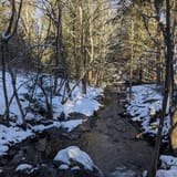 Alander Mountain Trail, Massachusetts - 915 Reviews, Map | AllTrails