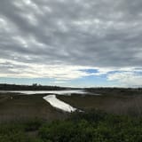 Back Bay Loop Trail, California - 1,861 Reviews, Map | AllTrails