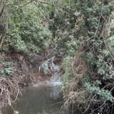 Back Bay Loop Trail, California - 1,761 Reviews, Map | AllTrails
