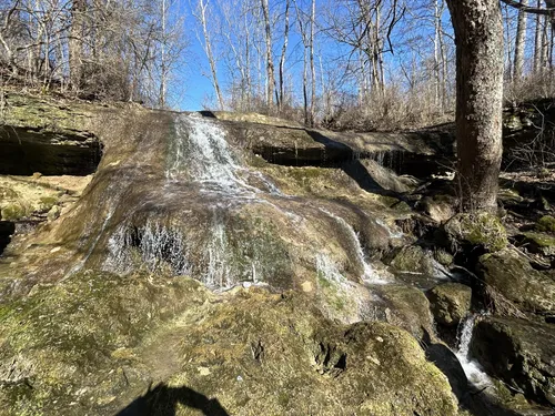 Best River Trails in Springfield | AllTrails