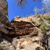 Haynes Ridge and Upper North Prong Trail Loop, Texas - 881 Reviews, Map ...