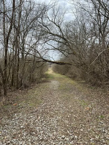 Best Hikes and Trails in Bells Bend Park | AllTrails