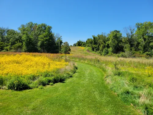 Best Lake Trails in Lawrence Township | AllTrails